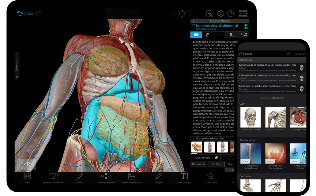 Atlas 3D de Anatomía Visible Body