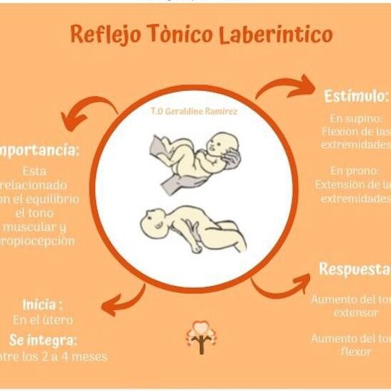 Conoce el reflejo tónico del cuello y su impacto en el desarrollo motor